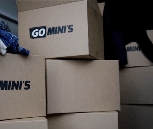 February 2021 | Go Mini's® Blog