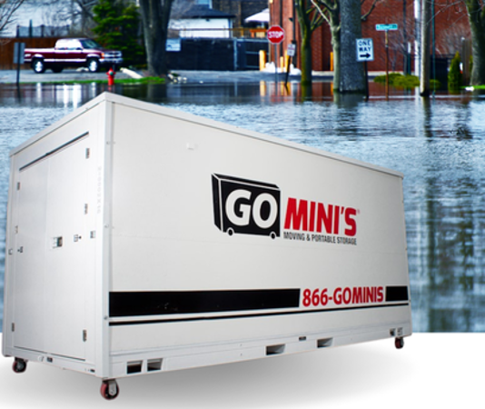 Blog Categories | Go Mini's®