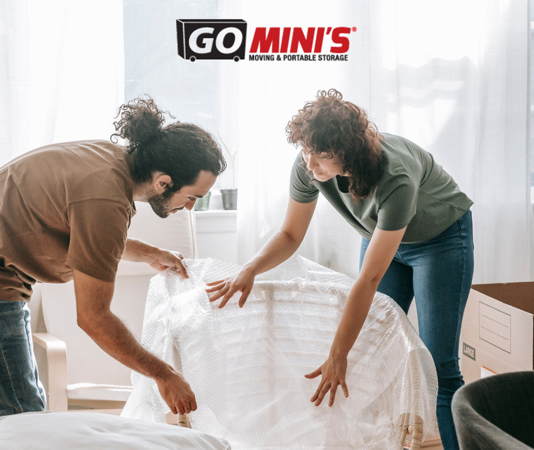 Go Mini's Portable Storage for Summer Projects