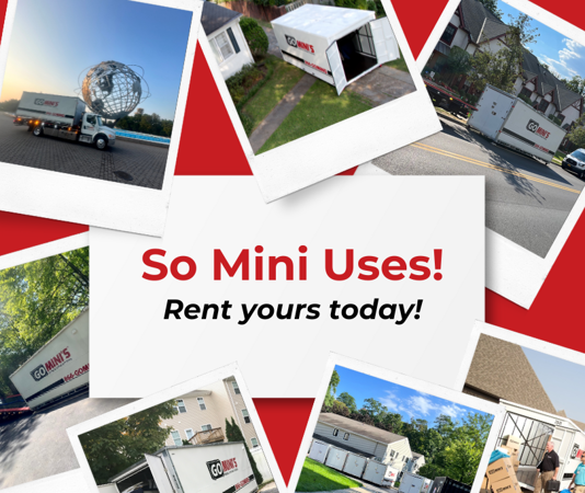 2023 Blogs | Go Mini's®